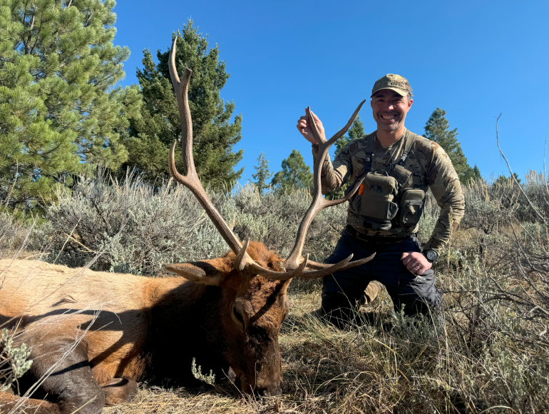 Elk Success with 100 Grain Broadhead – Iron Will Outfitters
