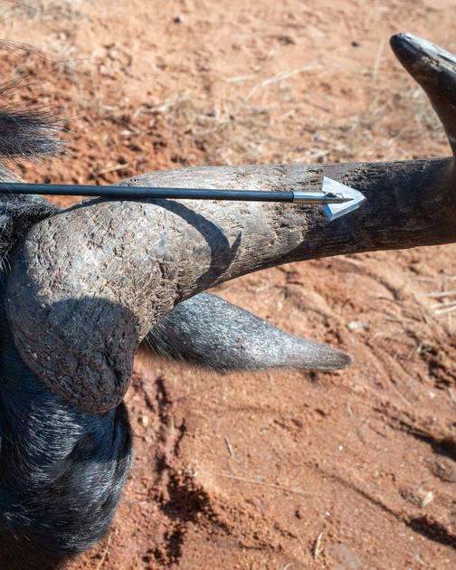 Scientific Considerations for Broadhead Penetration – Iron Will Outfitters