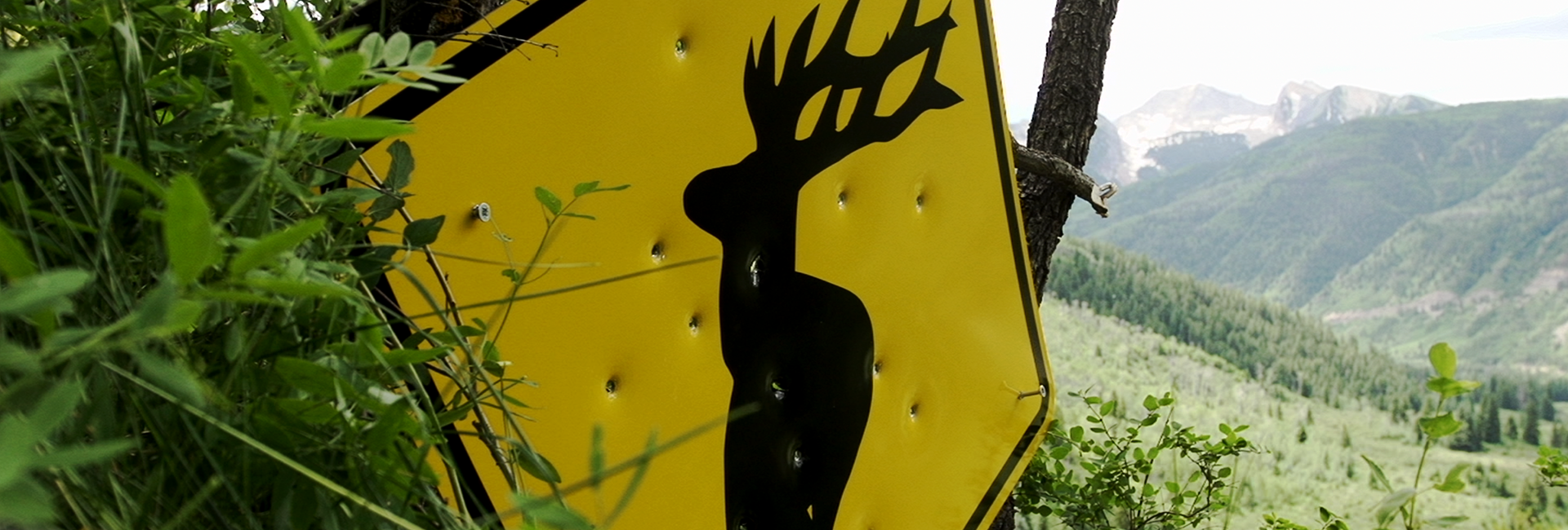 Broadheads and Field Points vs Metal Sign – Iron Will Outfitters