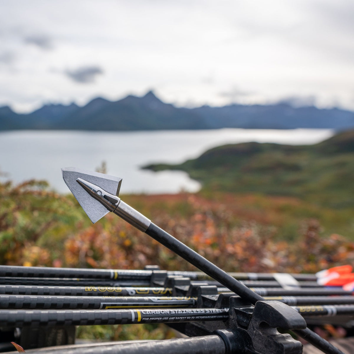 How to Make Your Broadheads Hit with Field Points – Iron Will Outfitters